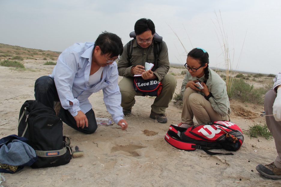 Li Jianjun-The Adviser of Dinosaur Technology - China Festival Lantern ...